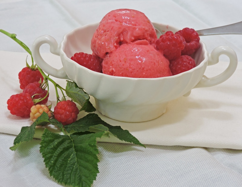 RASPBERRY FROZEN YOGURT ⋆ Desserts ⋆ Carb Wars Cookbooks